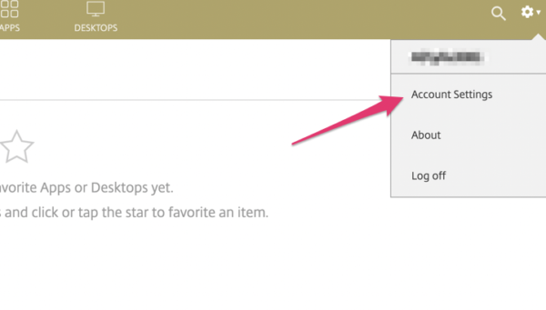 Switching between Citrix Workspace app and light version – IT Logik